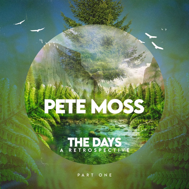 PREMIERE — Pete Moss – Too Soon [Candy Talk Records] [MI4L.com] – Music ...
